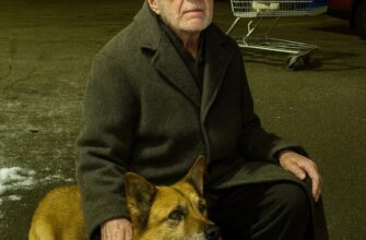 J'ai aidé un vétéran affamé et son chien – un mois plus tard, mon ...